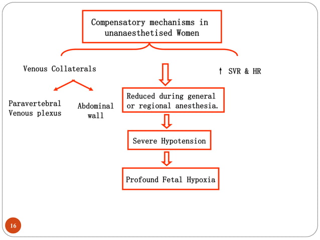 Anesthetic Considerations of Physiological Changes During 3rd.ppt