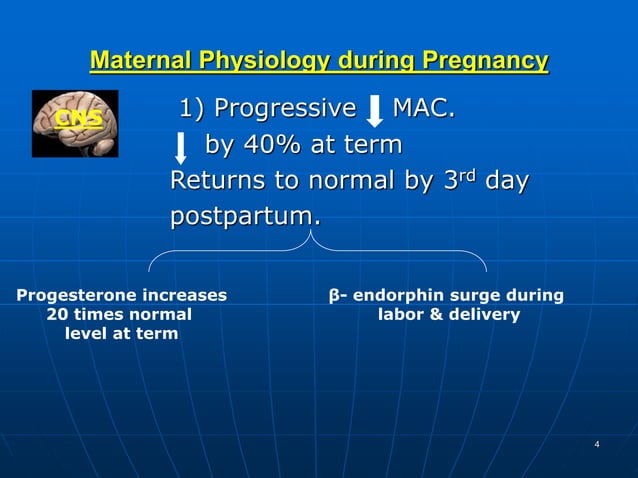 Anesthetic Considerations of Physiological Changes During Preg.ppt