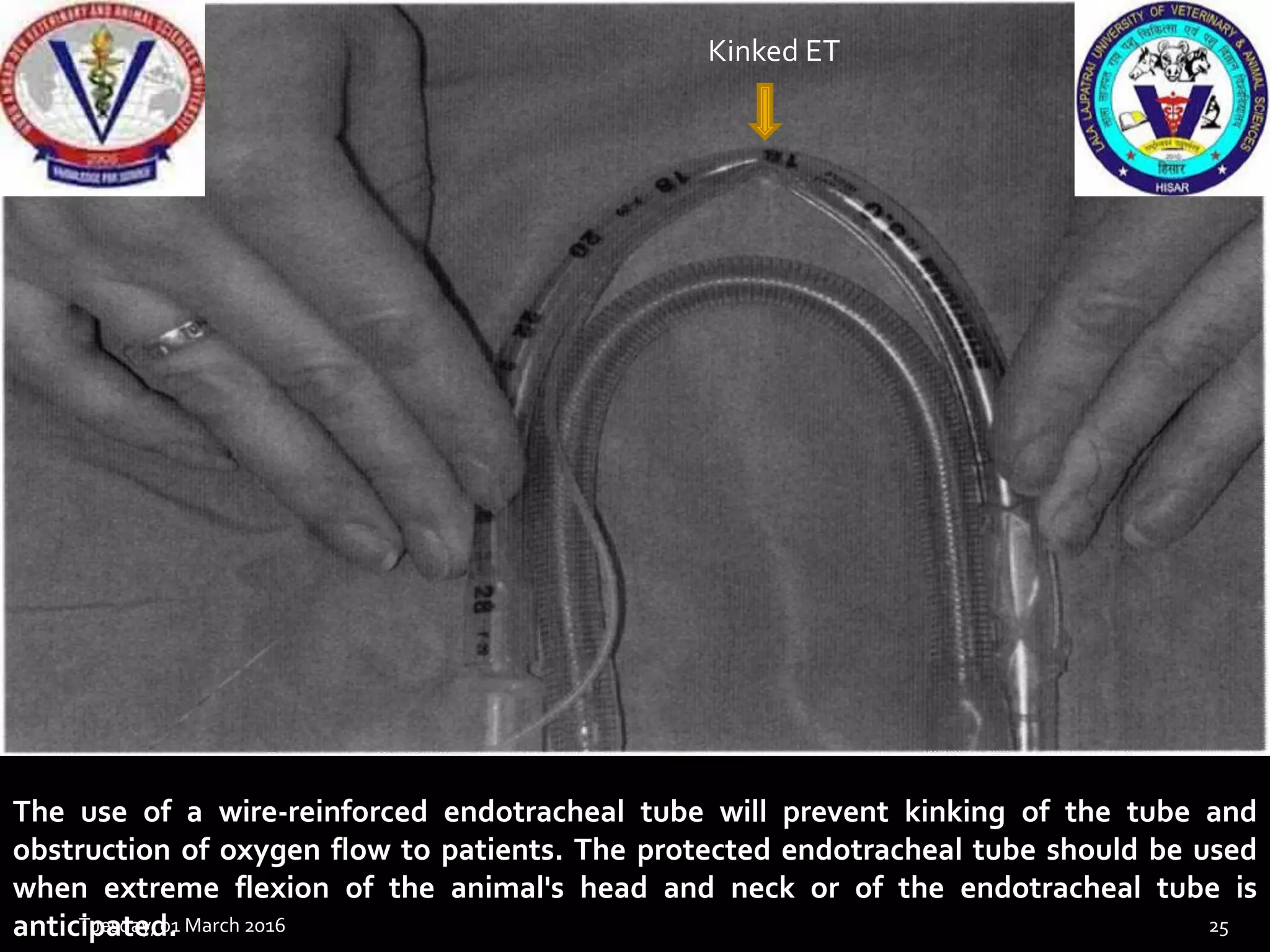 Anesthetic emergencies in animals | PPTX | Lung and Respiratory Health ...