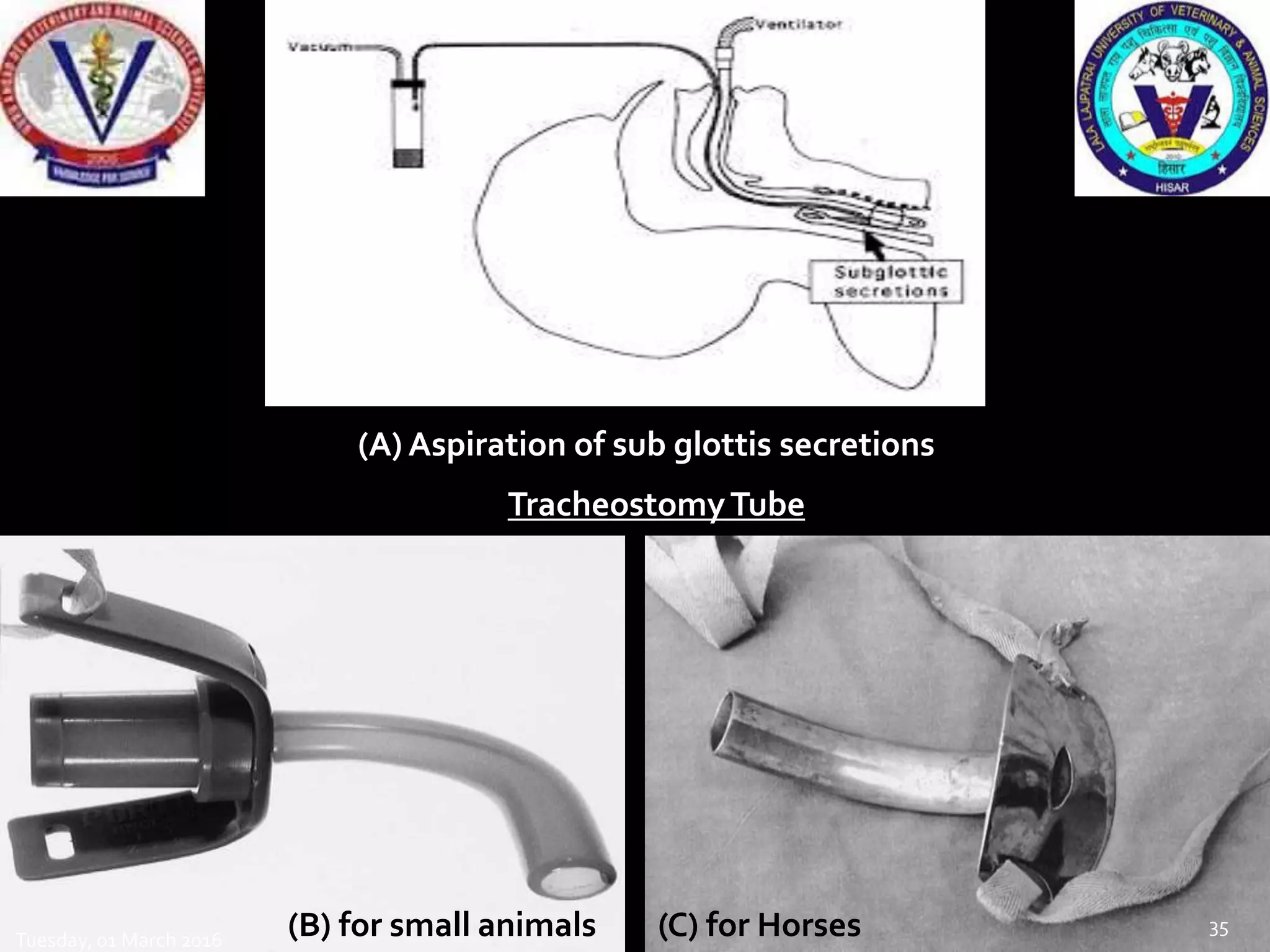 Anesthetic emergencies in animals | PPTX | Lung and Respiratory Health ...