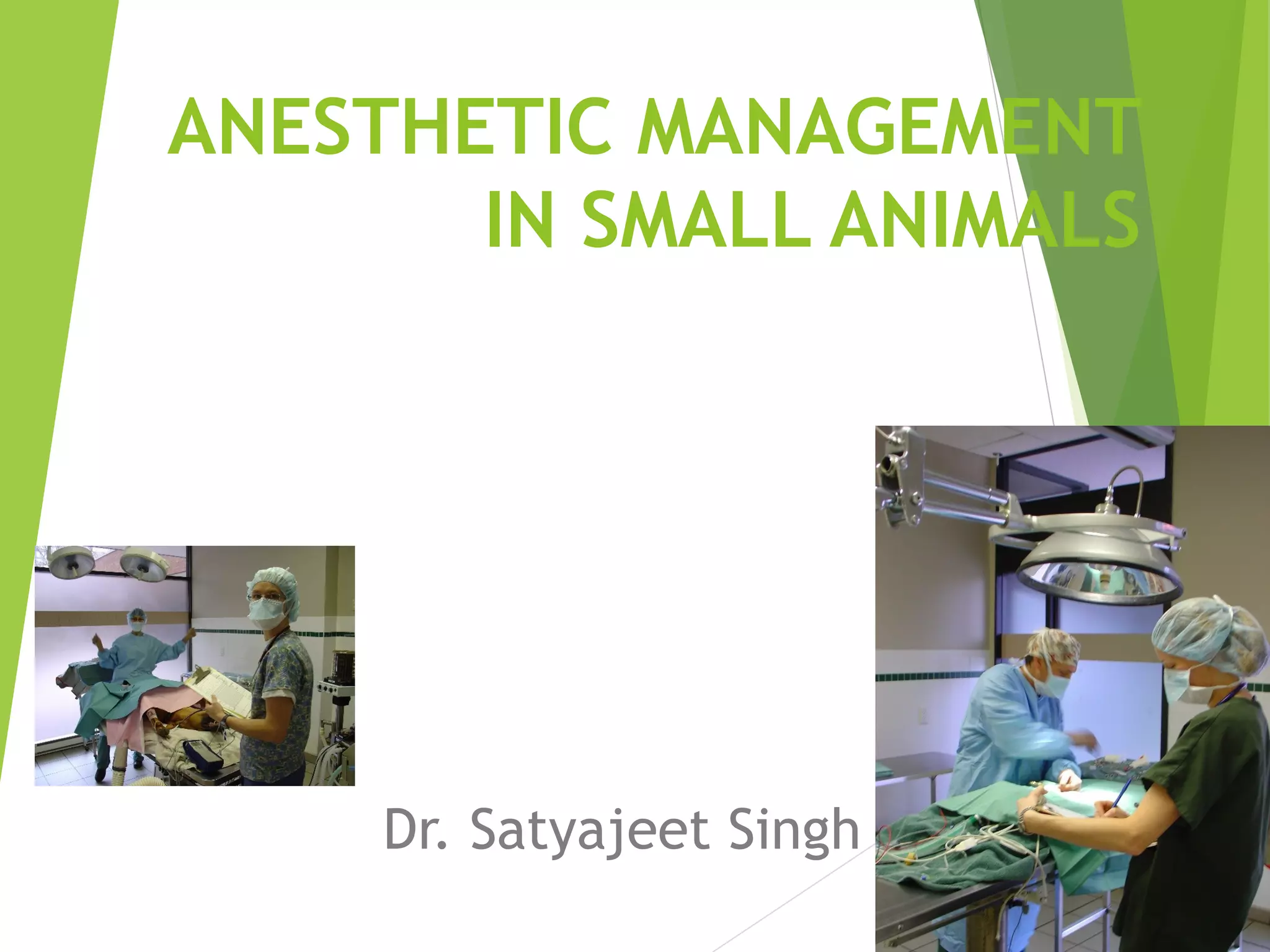 ANAESTHETIC MANAGEMENT IN SMALL ANIMALS | PPT
