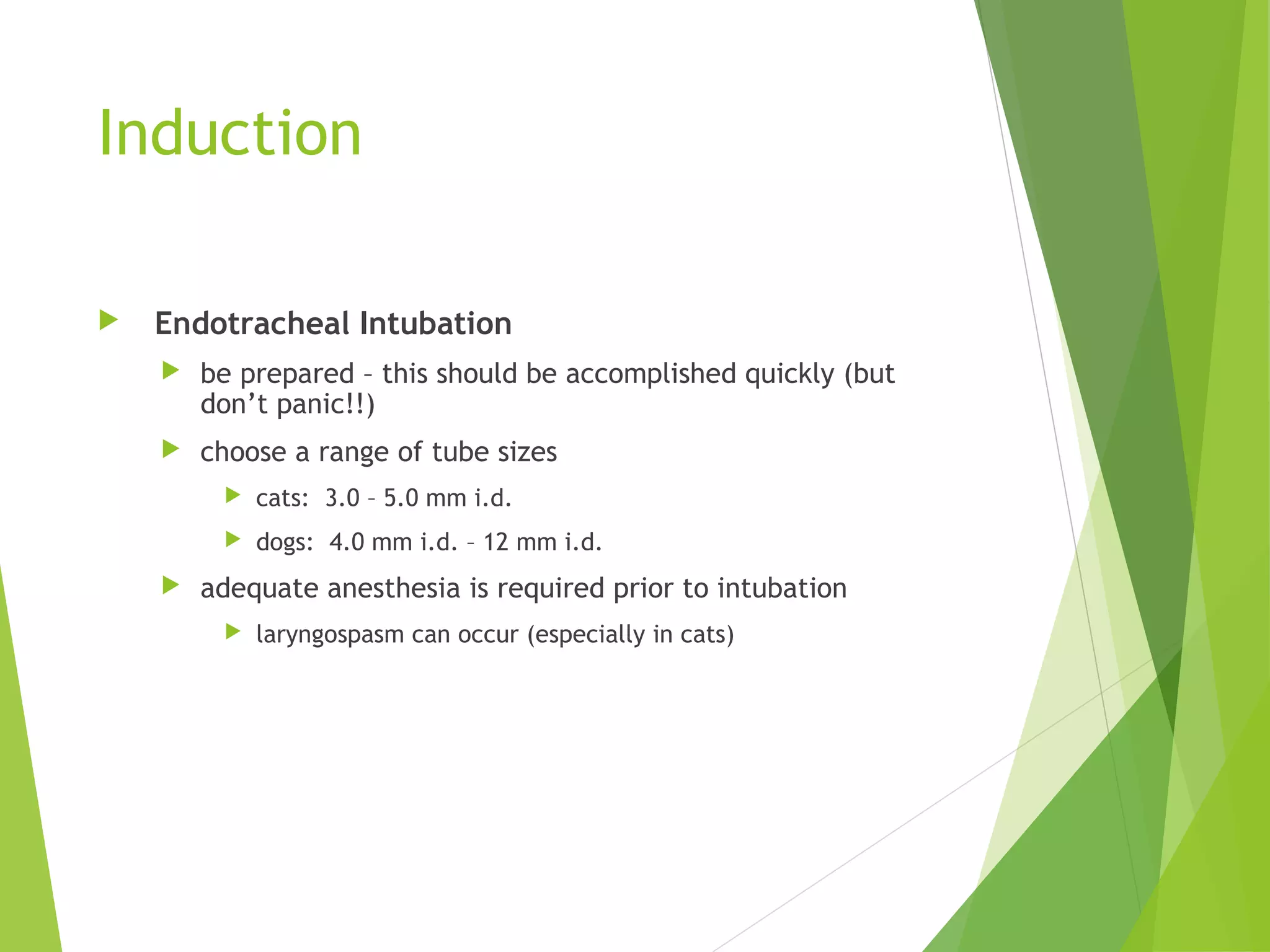 ANAESTHETIC MANAGEMENT IN SMALL ANIMALS | PPT
