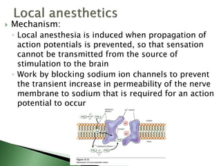Anesthetics - Pharmacology | PDF