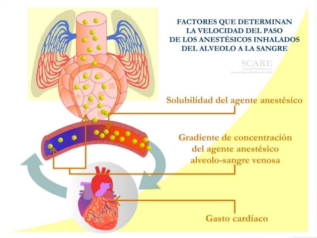 Anestésicos inhalados