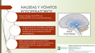 ANESTÉSICOS INHALATORIOS FARMACODINAMICA.pptx