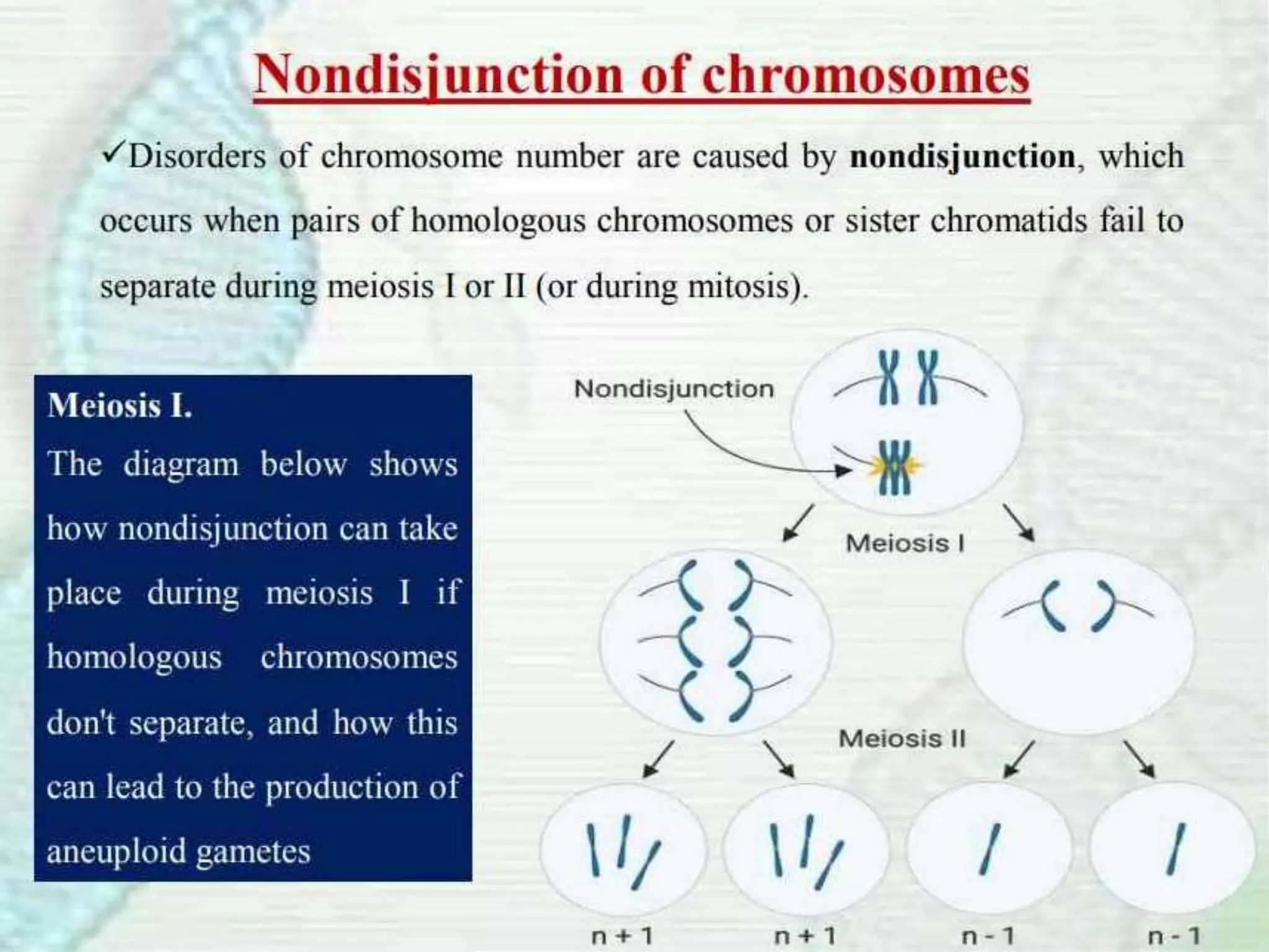 Aneuploidy | PPTX