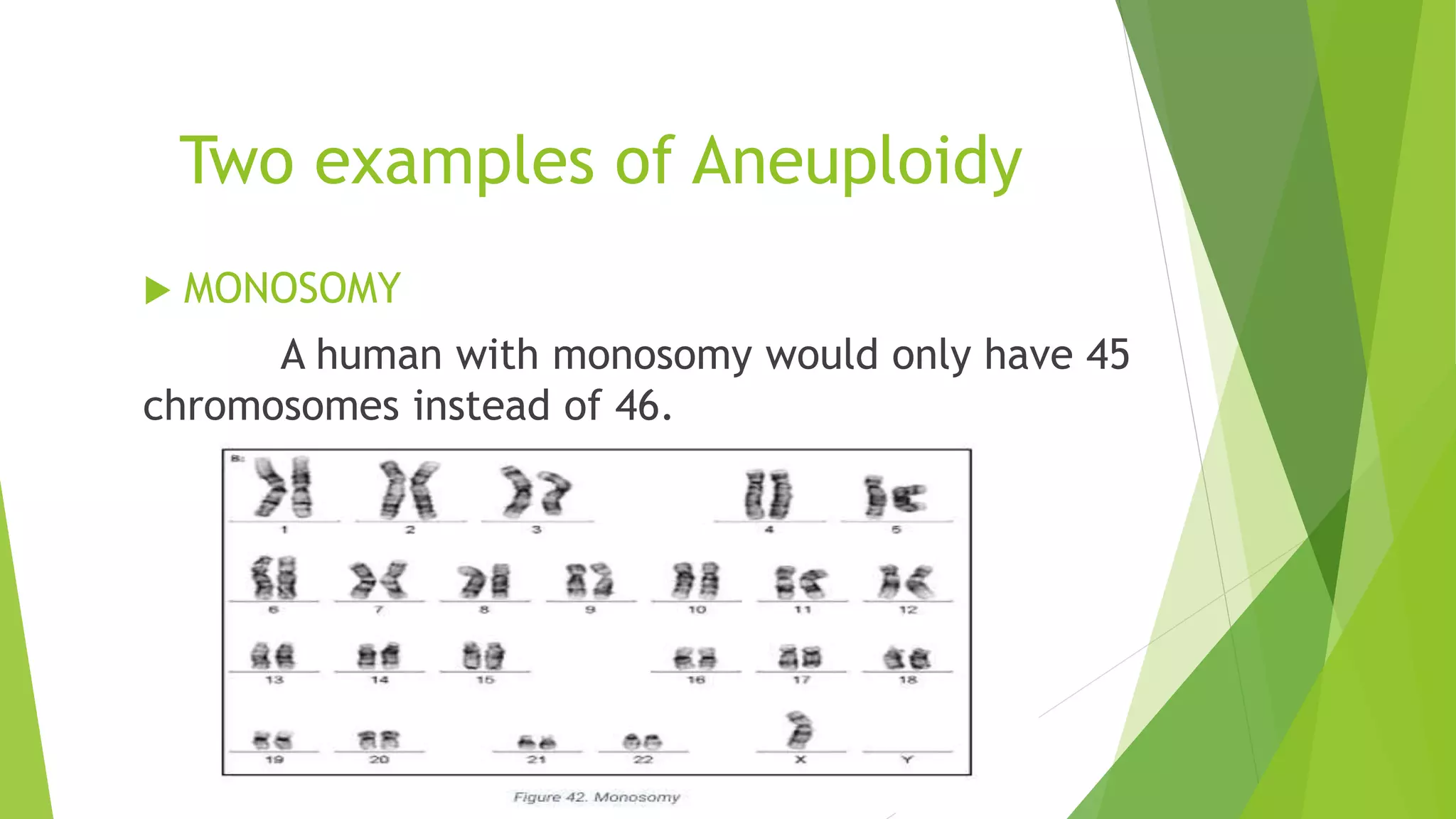 ANEUPLOIDY.pptx | Reproductive Health | Diseases and Conditions