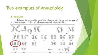 ANEUPLOIDY.pptx | Reproductive Health | Diseases and Conditions