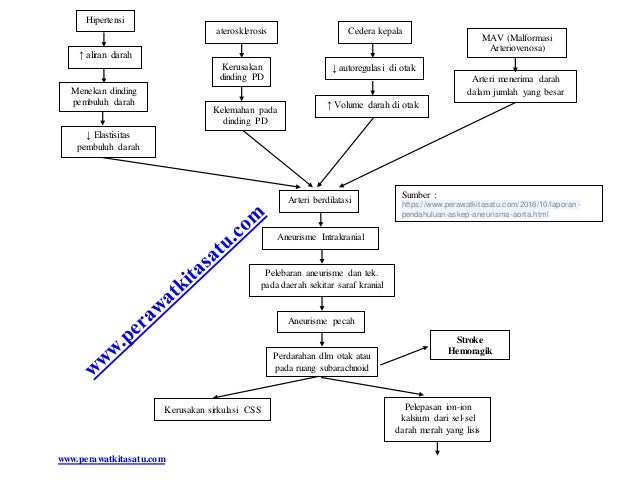 WOC Pathway Aneurisma aorta
