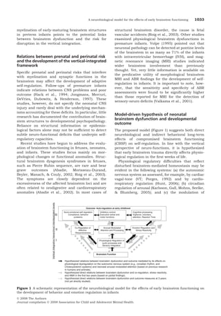 A neurobiological model for the effects of early brainstem functioning ...