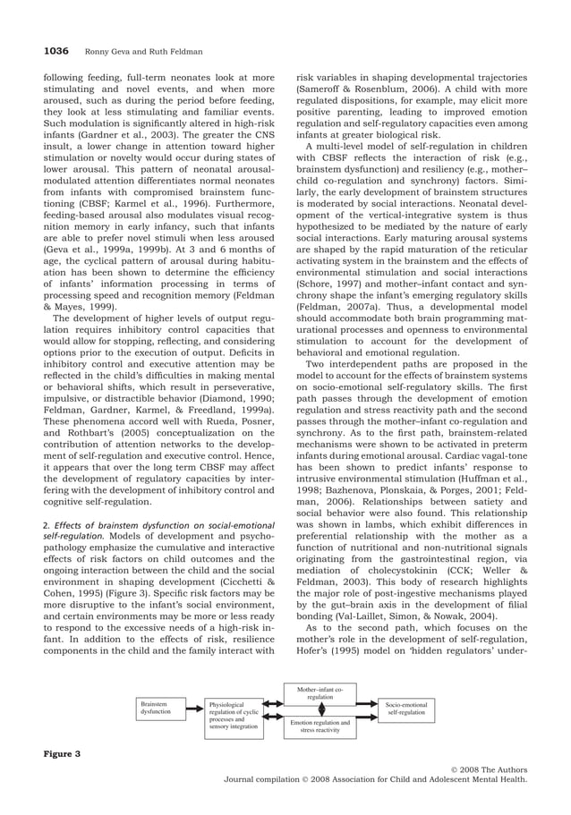 A neurobiological model for the effects of early brainstem functioning ...