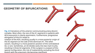 ANEURYSMS - Anatomy-Surgical Approaches.pptx