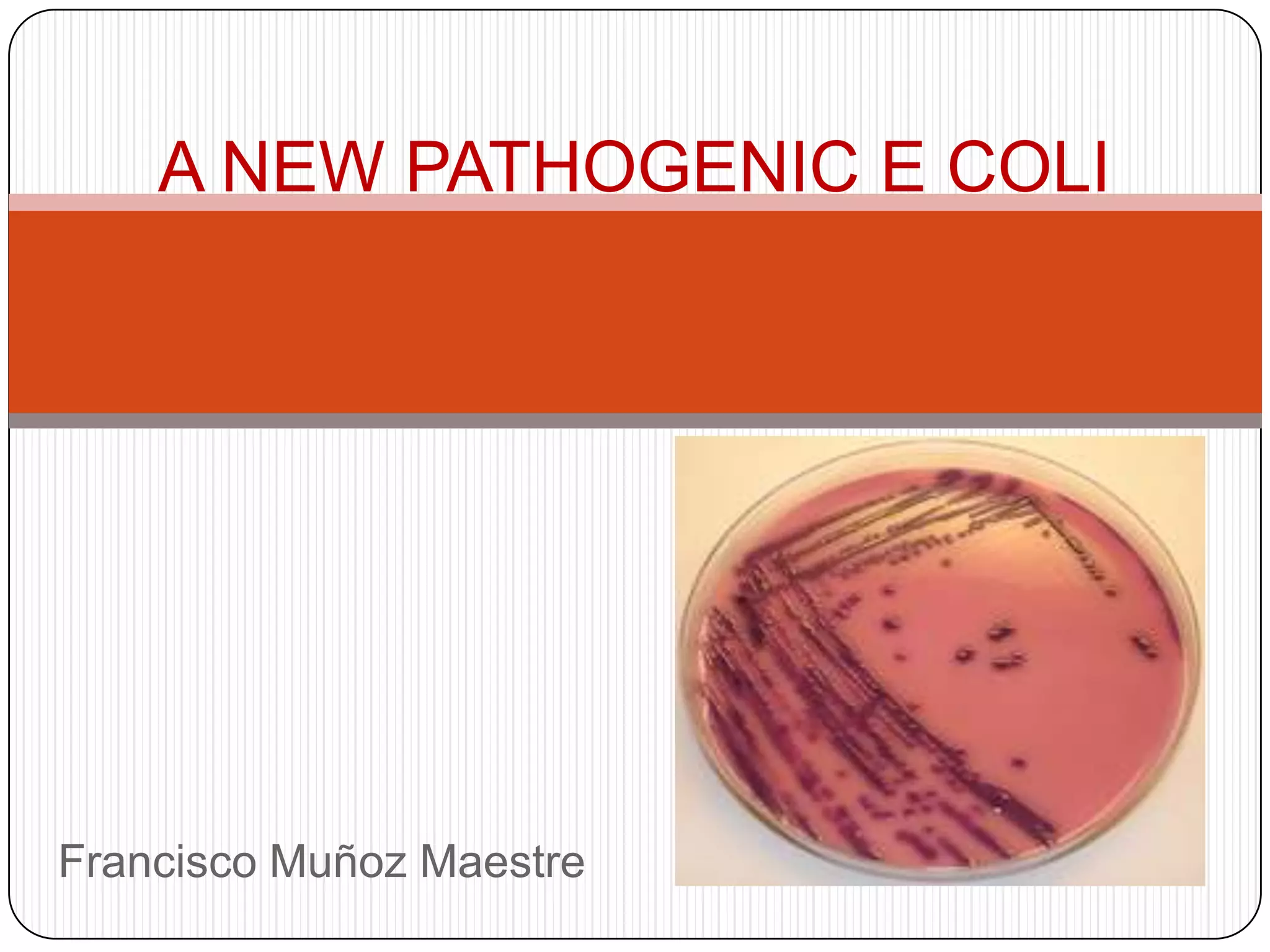 A new pathogenic e coli francisco muñoz maestre | PPTX | Digestive ...