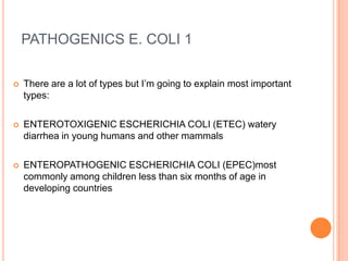 A new pathogenic e coli francisco muñoz maestre | PPTX