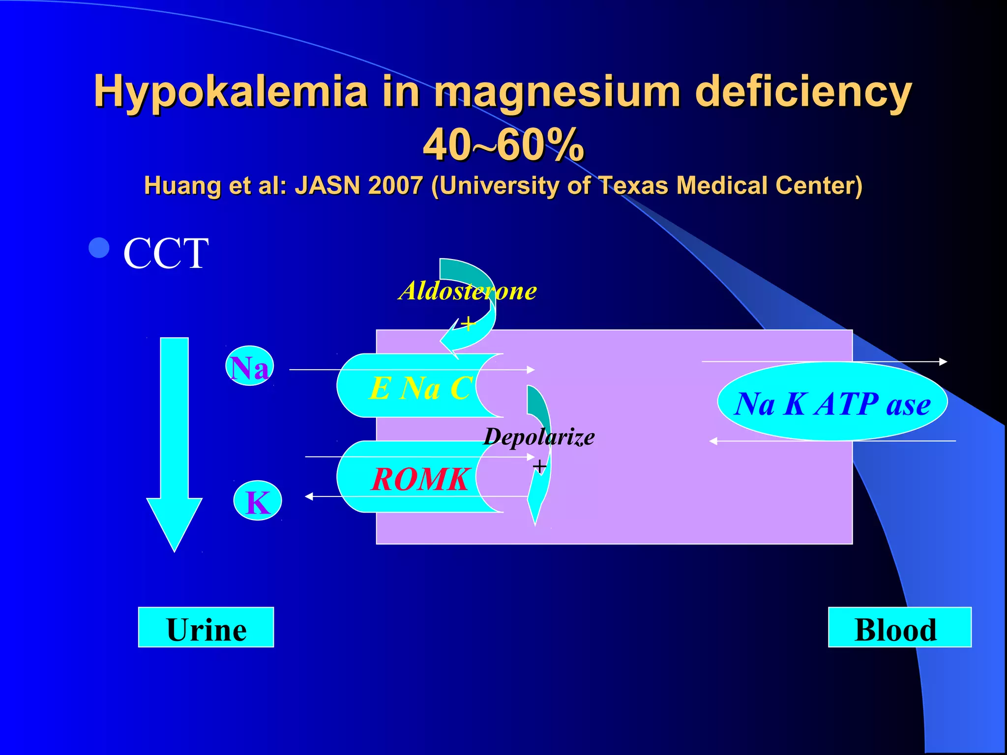 A new perspective on hypomagnesemia | PPT