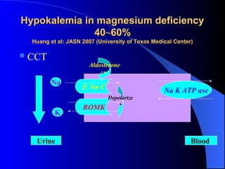 A new perspective on hypomagnesemia | PPT