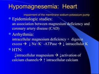 A new perspective on hypomagnesemia | PPT