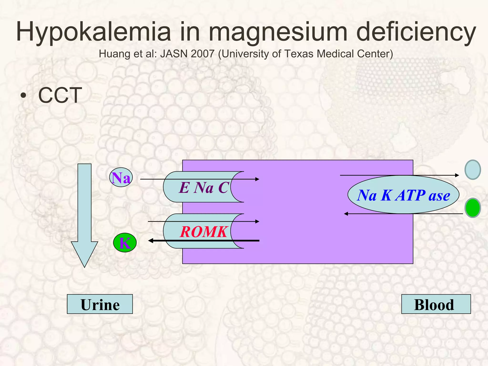 A new perspective on metabolic alkalosis | PPTX