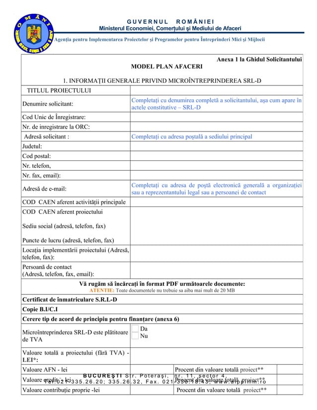 Anexa 1-model-plan-de-afaceri--2 | PDF