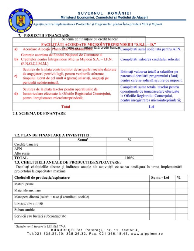 Anexa 1-model-plan-de-afaceri--2 | PDF