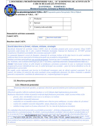 Anexa 1-model-plan-de-afaceri--2 | PDF