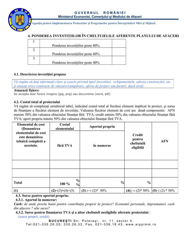 Anexa 1-model-plan-de-afaceri--2 | PDF