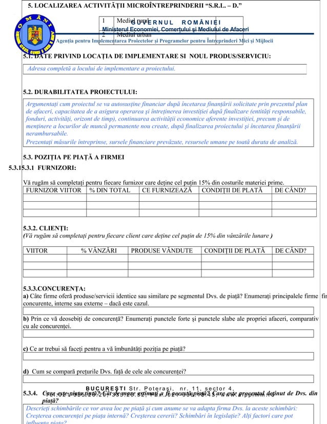 Anexa 1-model-plan-de-afaceri--2 | PDF