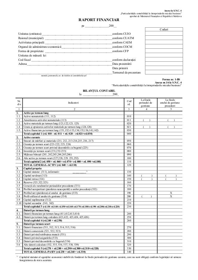 Anexe 27 Raport financiar succ_SNC4