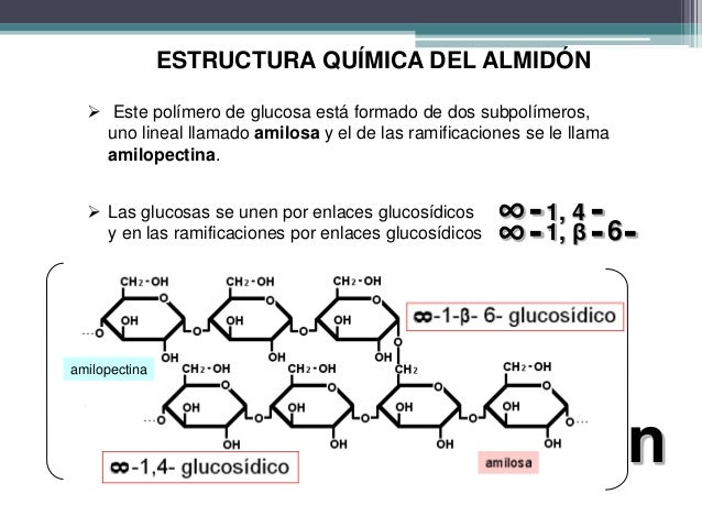 Nutrimentos orgánicos