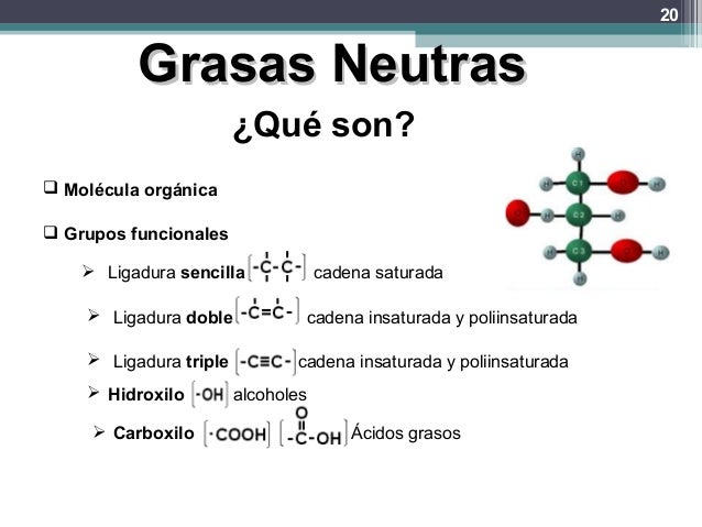 Anexo 1. ppt nutrimentos orgánicos