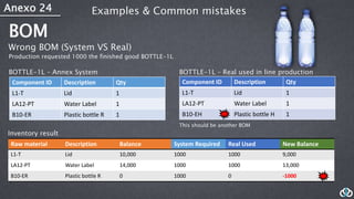 Anexo 24 Presentation English | PPTX