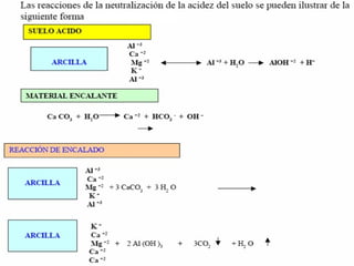 Anexo 42 acidez del suelo otra opción | PPT