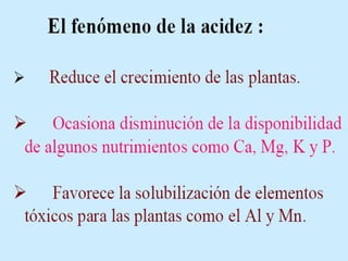 Anexo 42 acidez del suelo otra opción | PPT