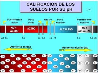 Anexo 42 acidez del suelo otra opción | PPT