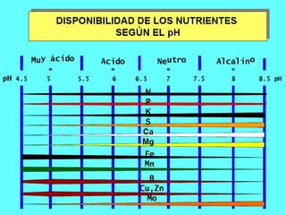 Anexo 42 acidez del suelo otra opción | PPT