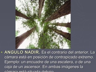 Plano de la fotografía | PPT