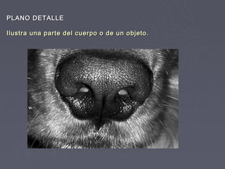 Plano de la fotografía | PPT