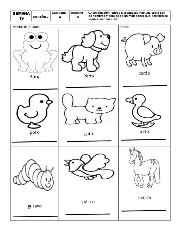 Material para primer grado de primaria