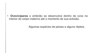 Anexos embrionarios | PPTX