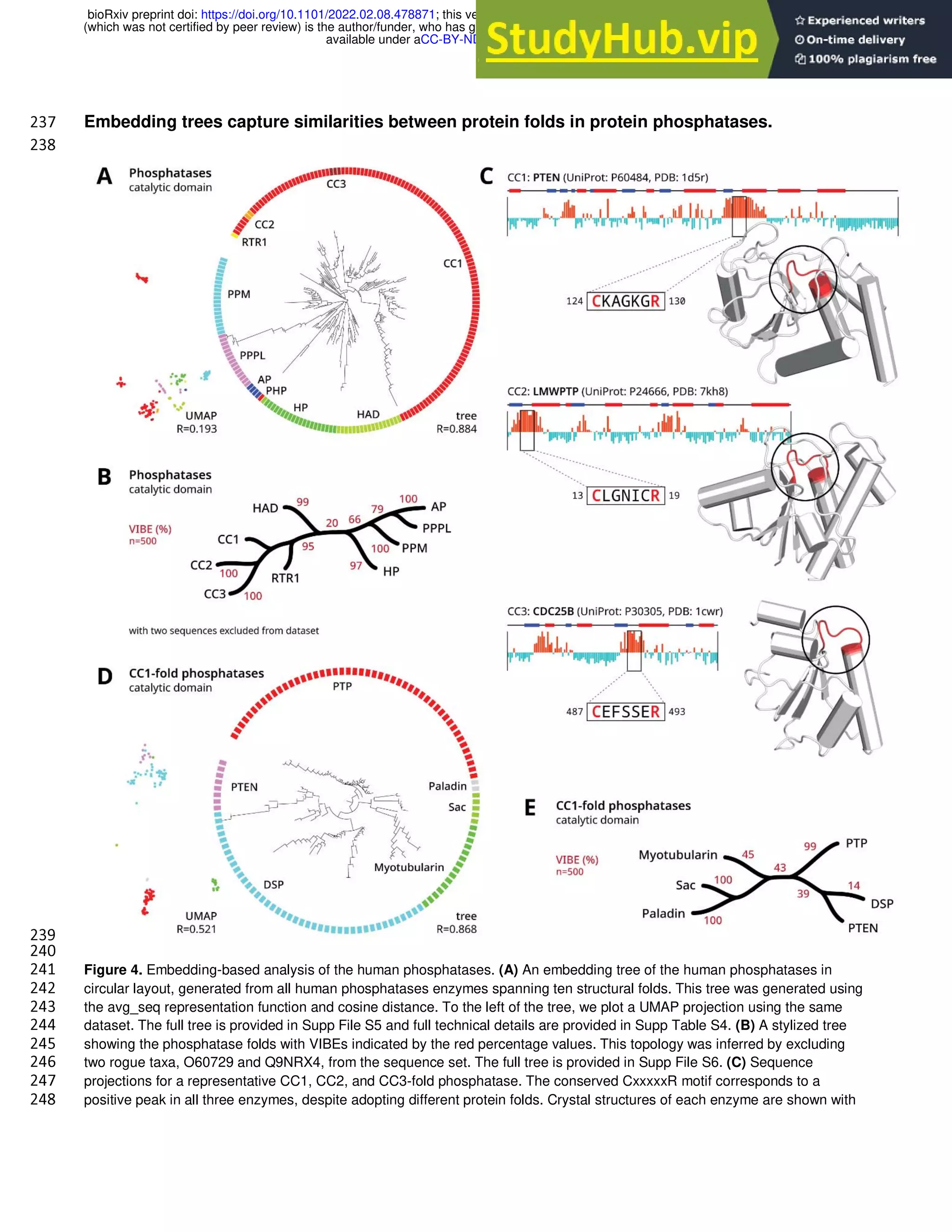 An Explainable Unsupervised Framework For Alignment-Free Protein Classification Using Sequence ...