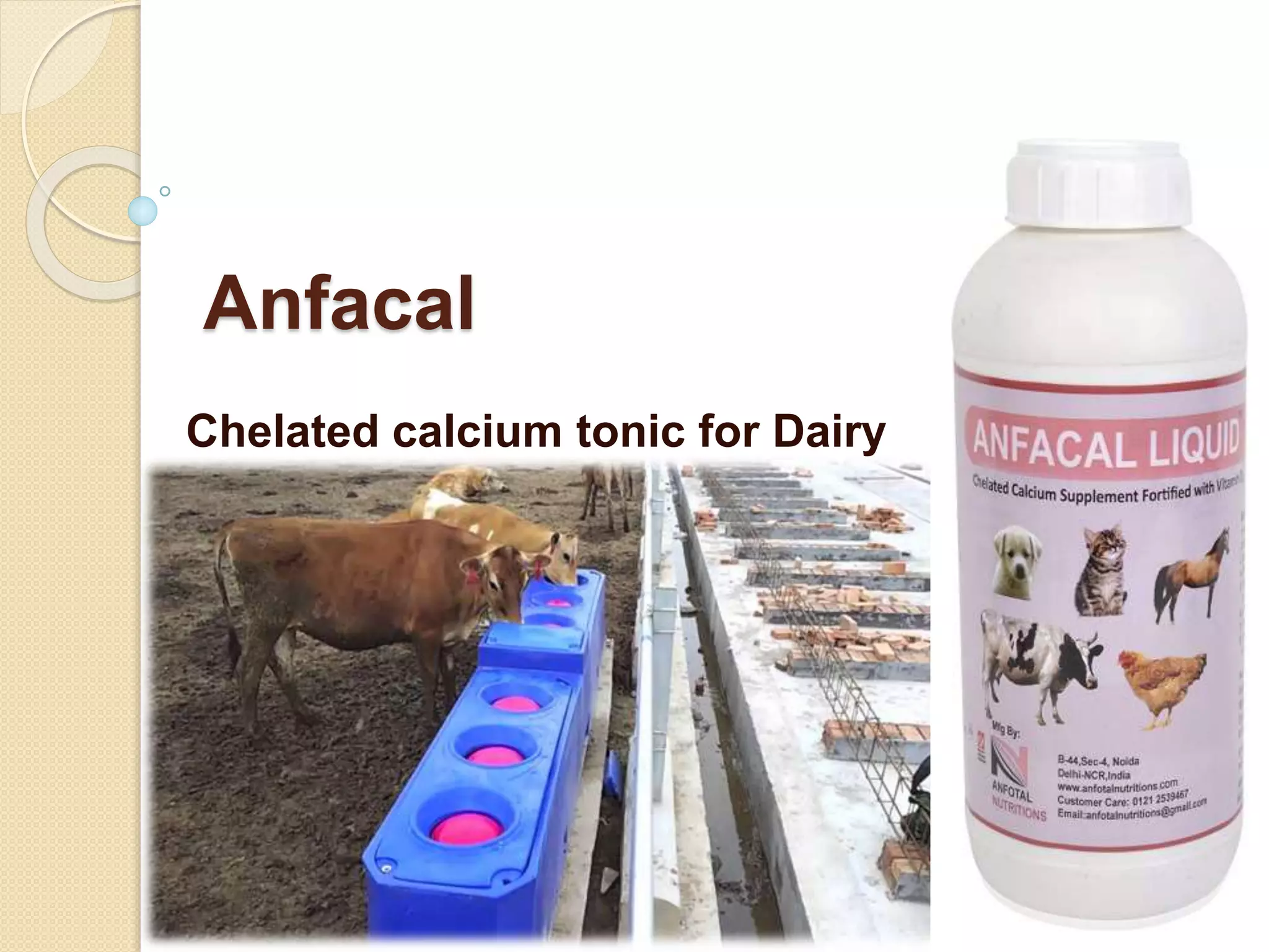 cattle calcium supplements | PPTX