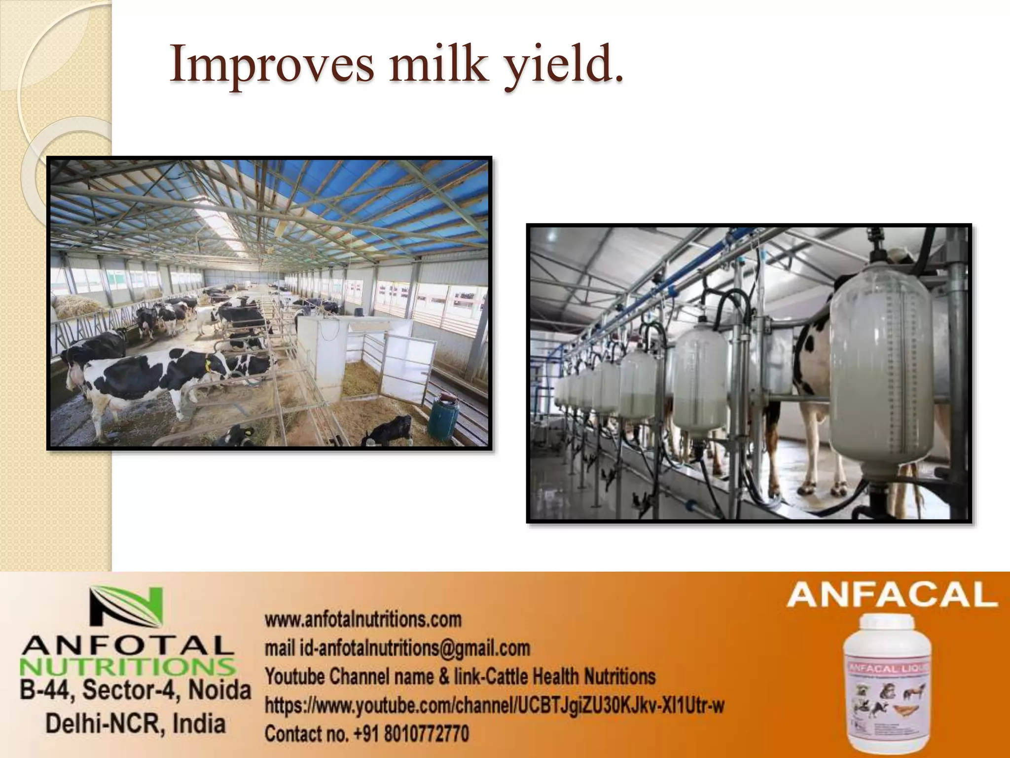 Cattle calcium supplement | PPT