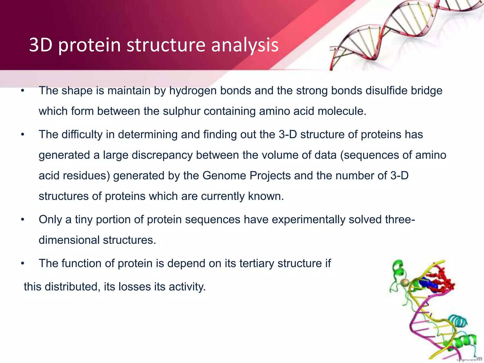 Protein structure analysis | PPTX