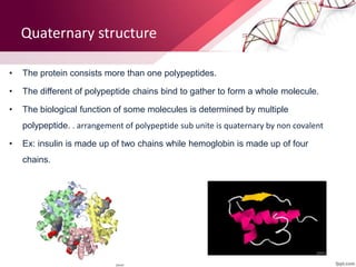 Protein structure analysis | PPTX