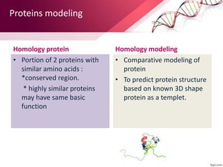 Protein structure analysis | PPTX
