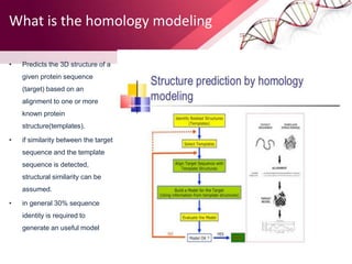 Protein structure analysis | PPTX
