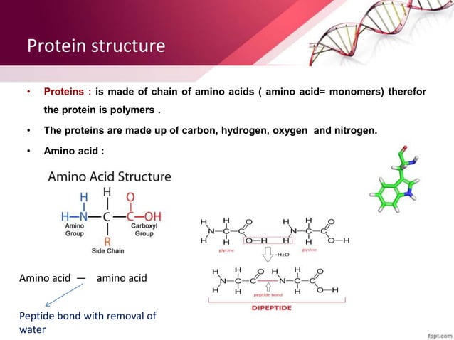 Protein structure analysis | PPTX | Chemistry | Science