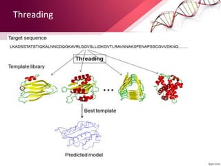 Protein structure analysis | PPTX
