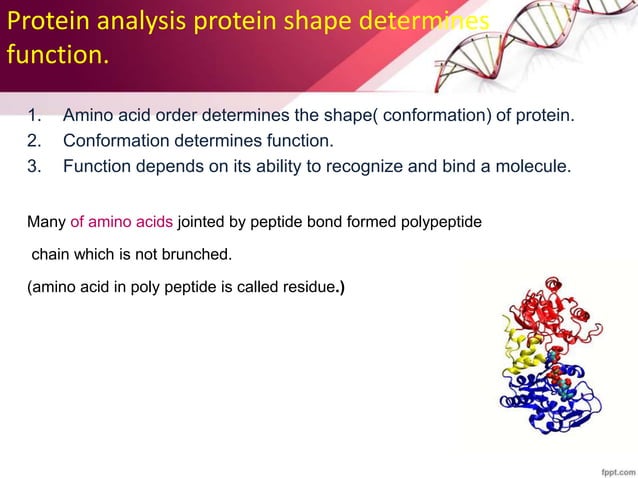 Protein structure analysis | PPTX | Chemistry | Science