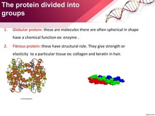 Protein structure analysis | PPTX